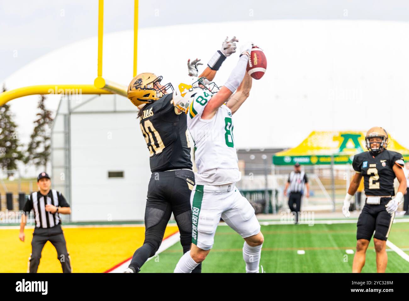 Stephen adamopoulos hi-res stock photography and images - Alamy