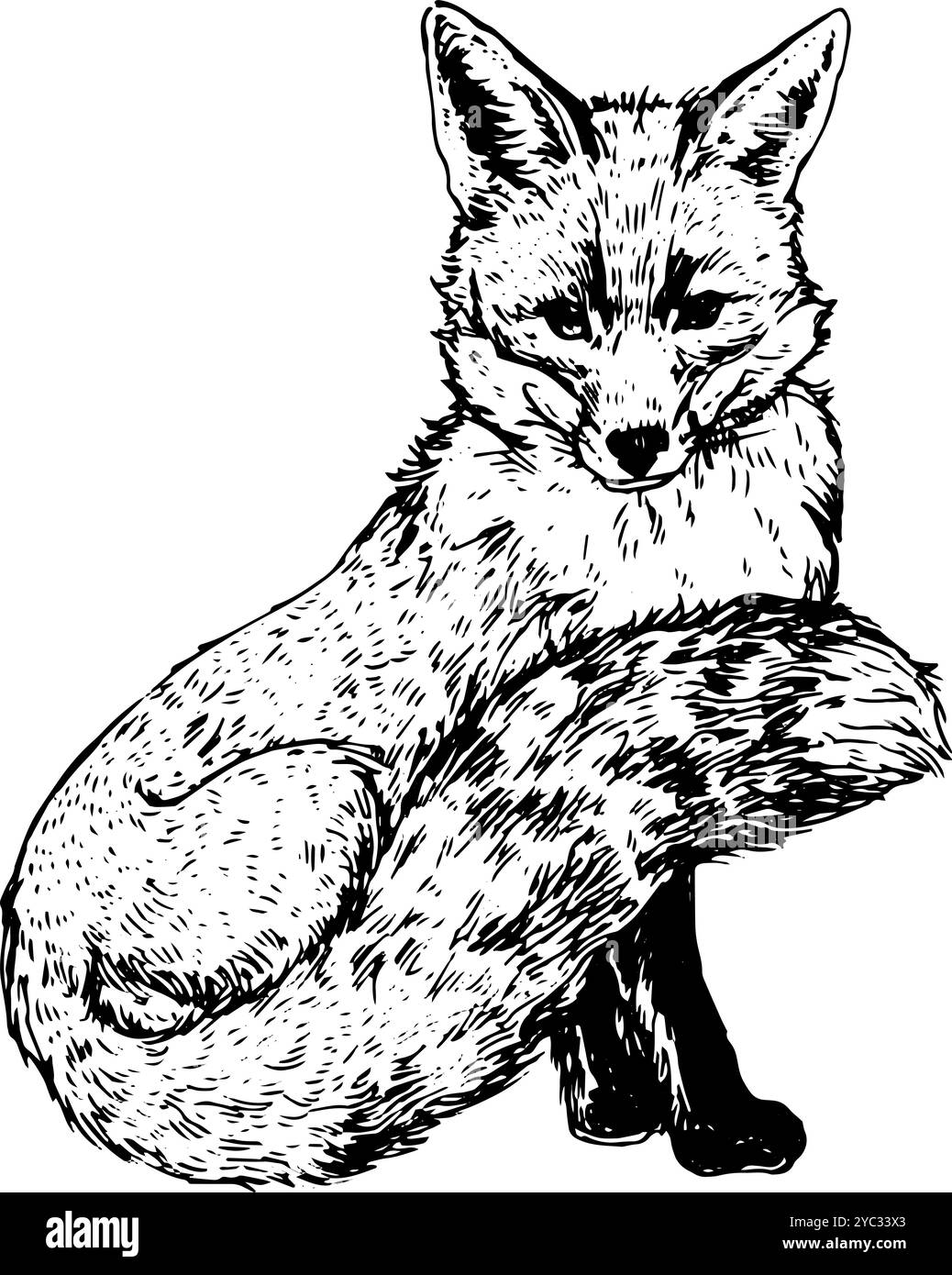 Red fox - hand drawn illustration of forest animal | furry, cute ...