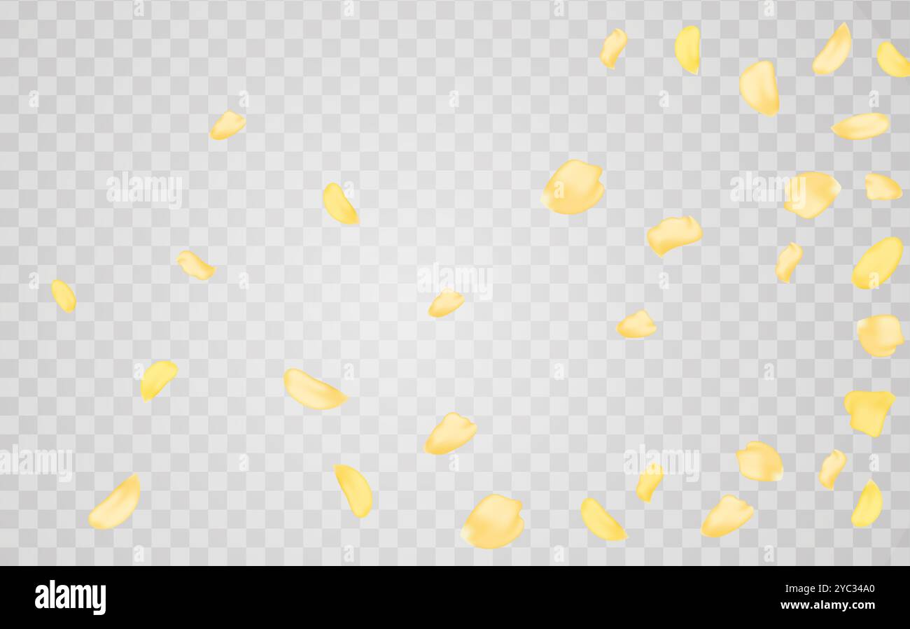 Transparent panoramic horizontal background.Amber flower spring ...