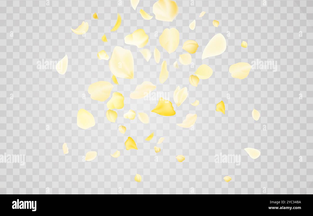 Transparent panoramic horizontal background.Amber flower spring ...