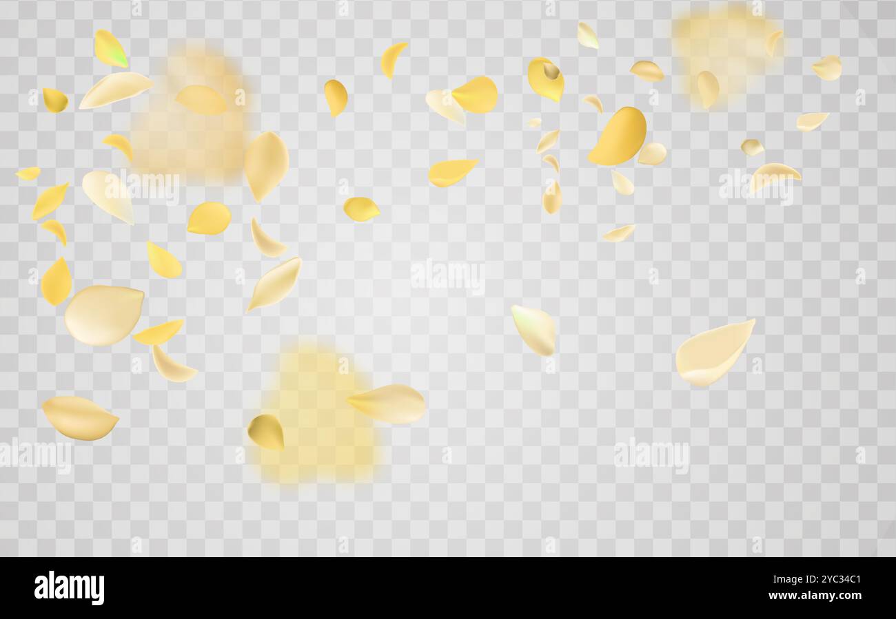 Transparent panoramic horizontal background.Amber flower spring ...