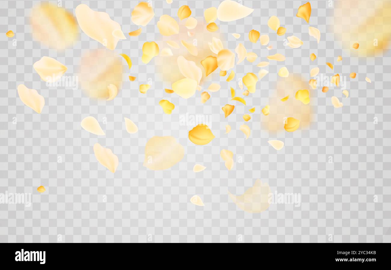 Transparent panoramic horizontal background.Amber flower spring ...