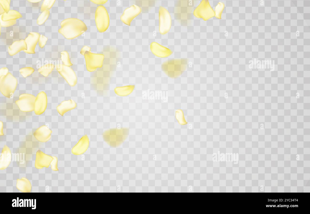 Transparent panoramic horizontal background.Amber flower spring ...