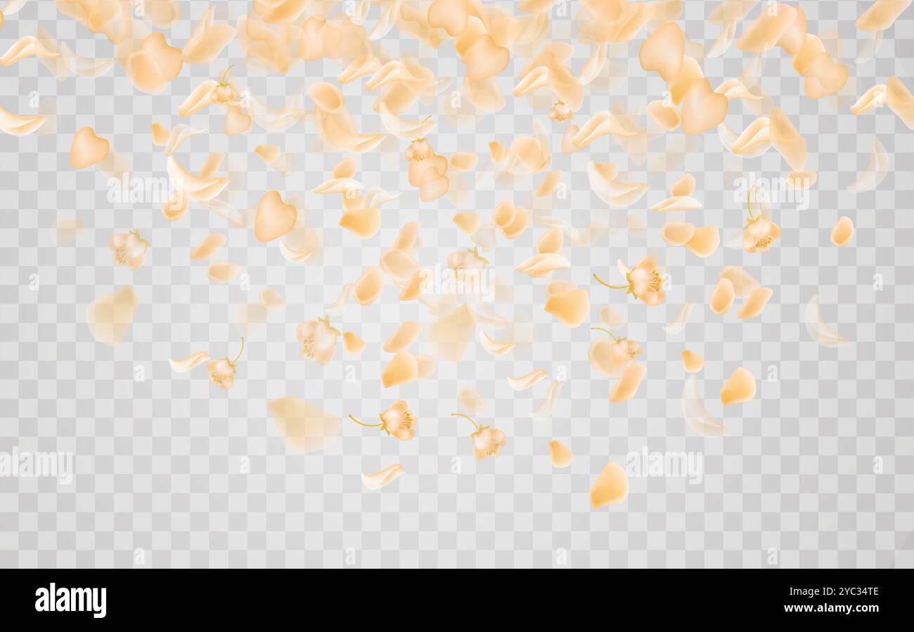 Transparent panoramic horizontal background.Amber flower spring ...