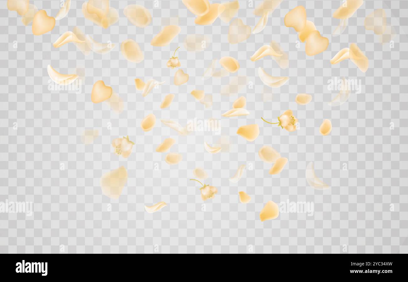 Transparent panoramic horizontal background.Amber flower spring ...