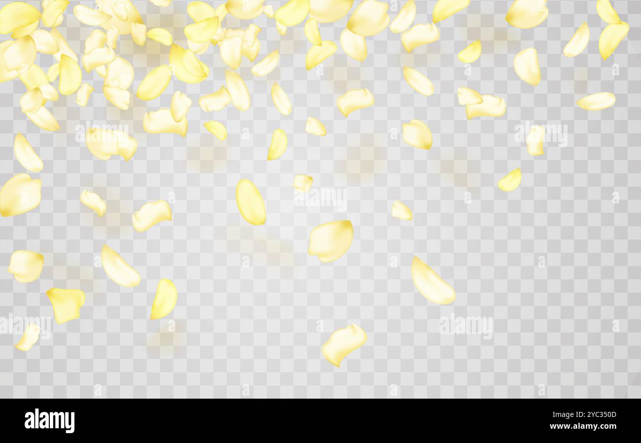 Transparent panoramic horizontal background.Amber flower spring ...