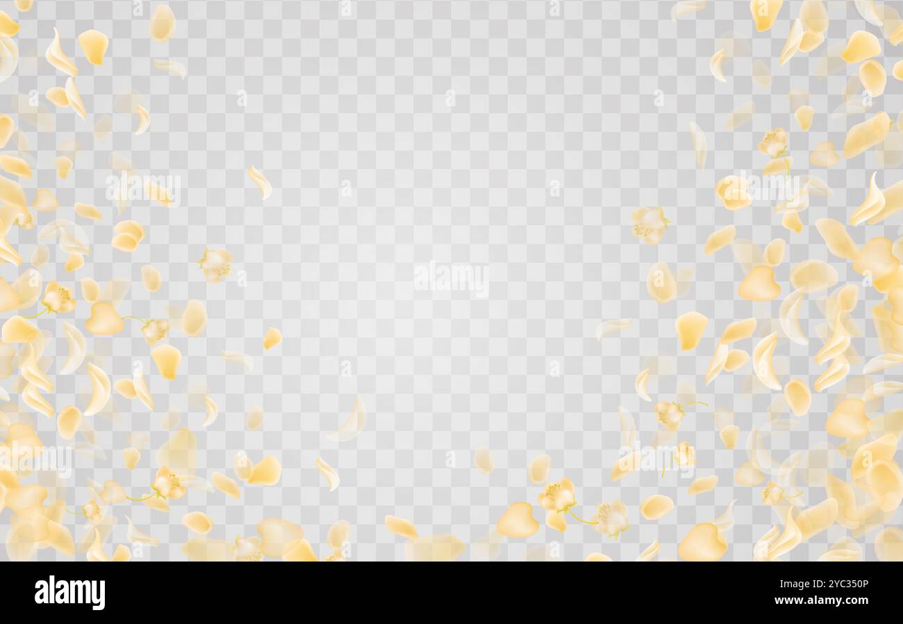 Transparent panoramic horizontal background.Amber flower spring ...