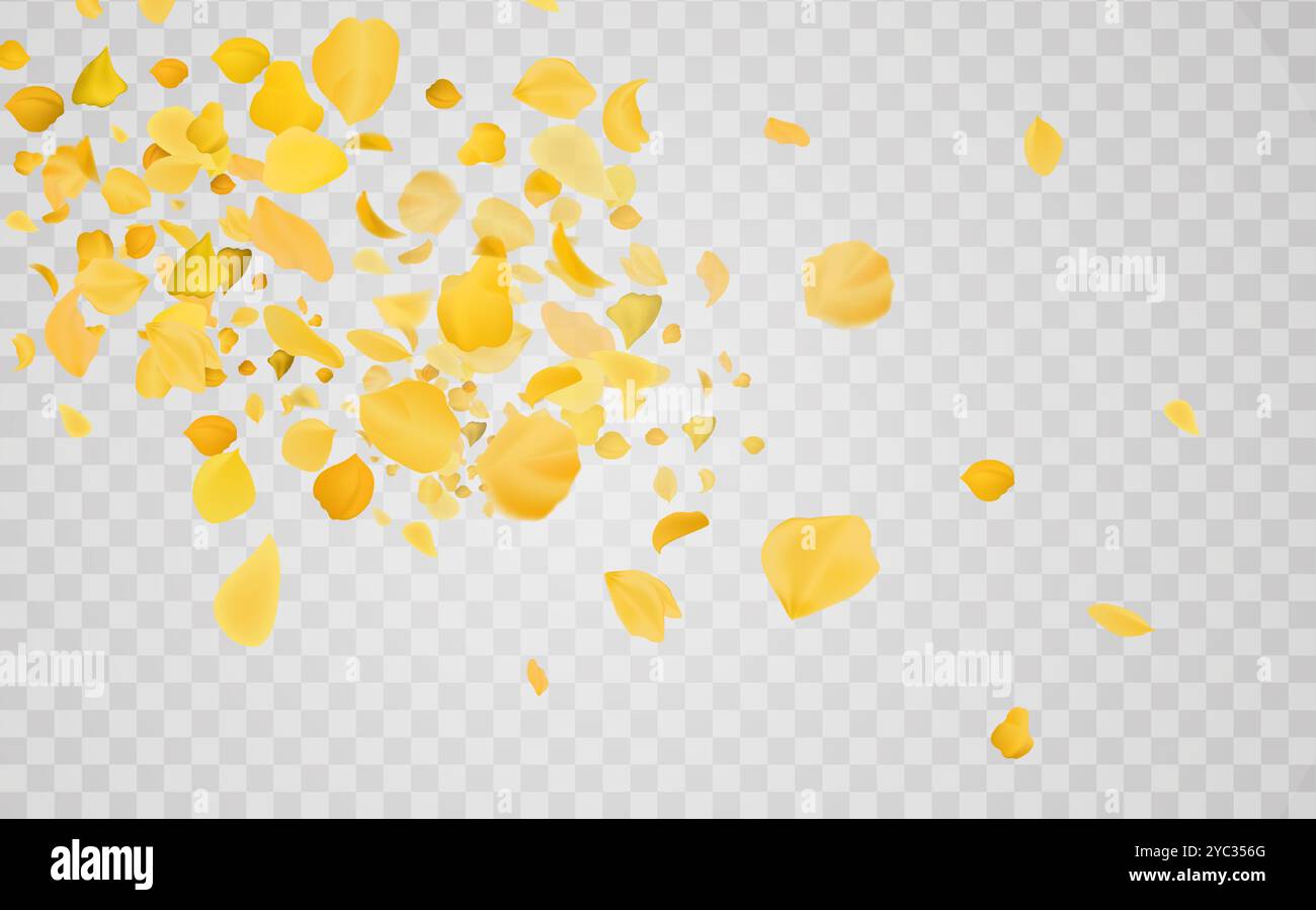 Transparent panoramic horizontal background.Amber flower spring ...