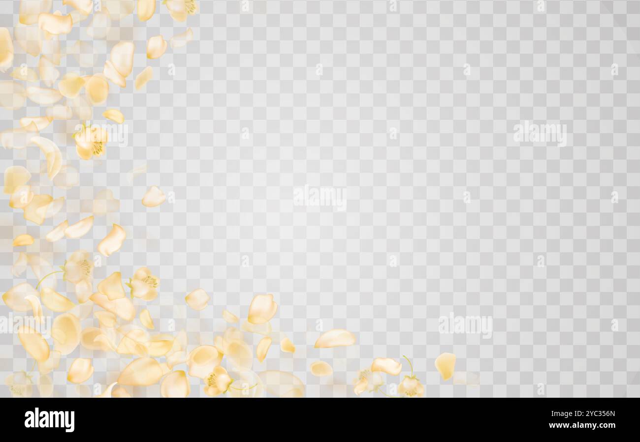 Transparent panoramic horizontal background.Amber flower spring ...