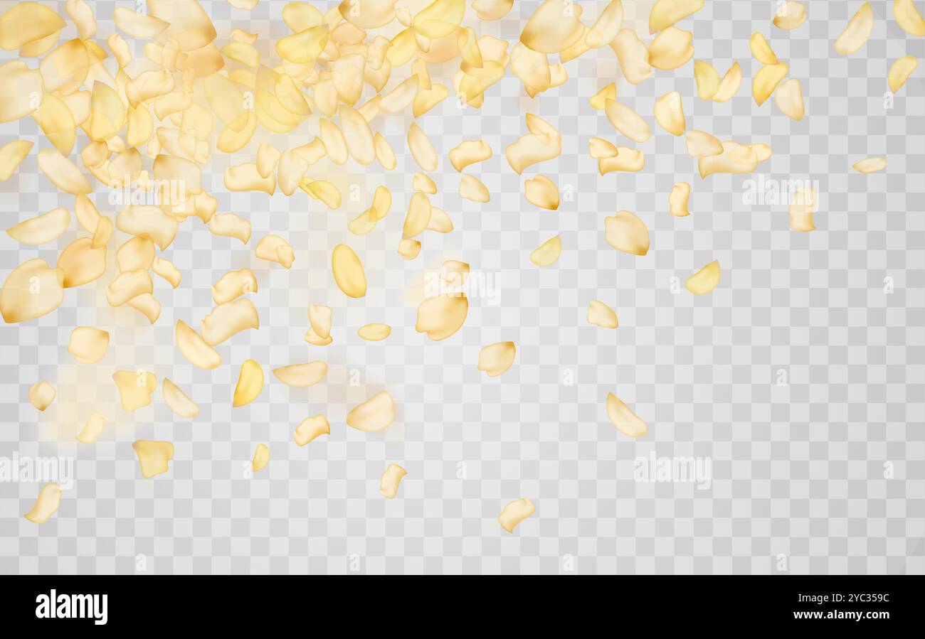 Transparent panoramic horizontal background.Amber flower spring ...