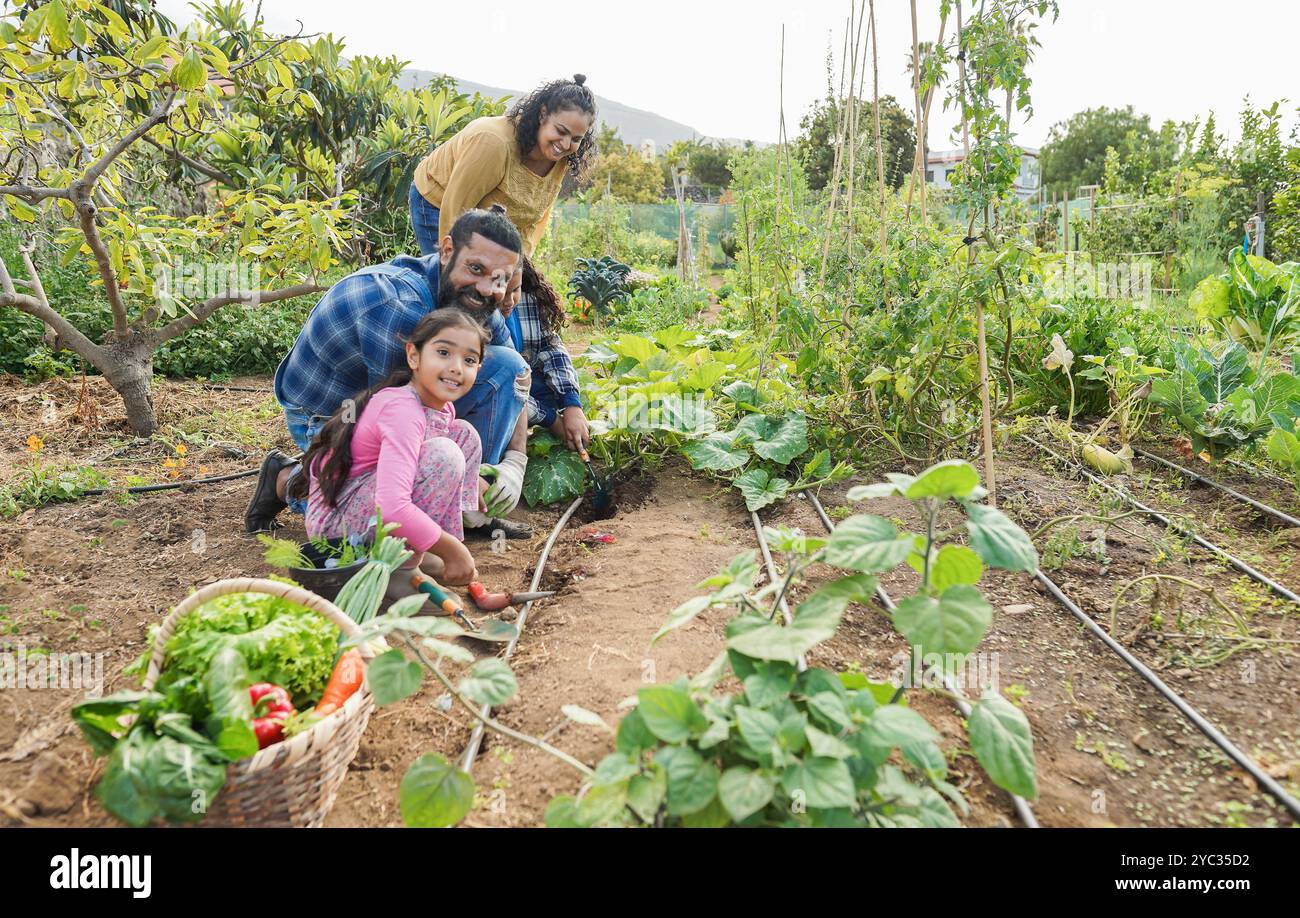 Indian family picking up organic vegetables from house garden outdoor ...