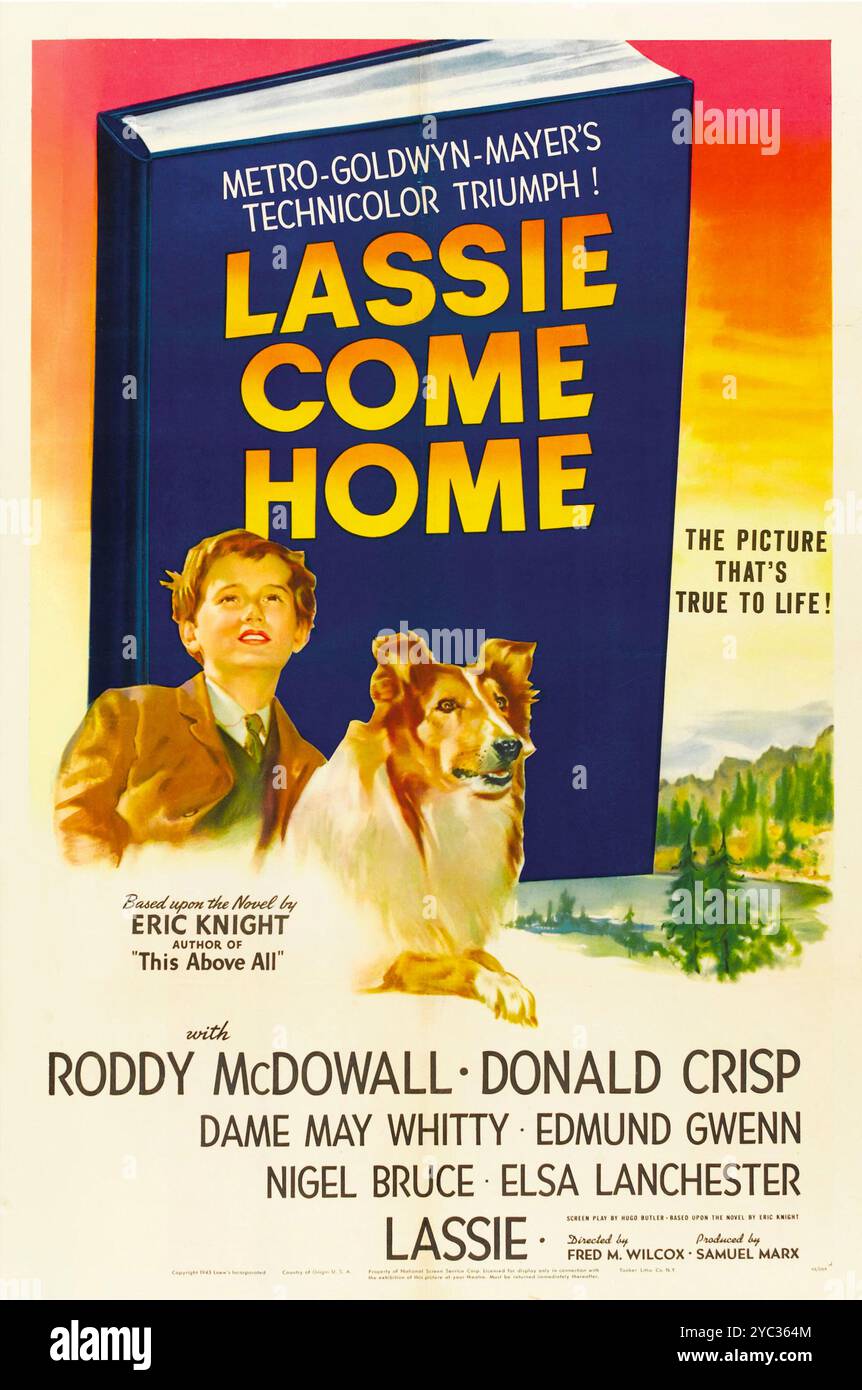 Lassie come home poster hi-res stock photography and images - Alamy