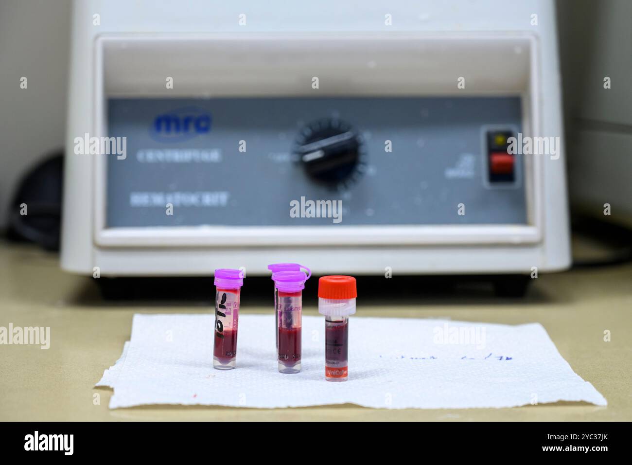 Blood samples taken from a bird of prey (Black Kite) awaiting the lab ...