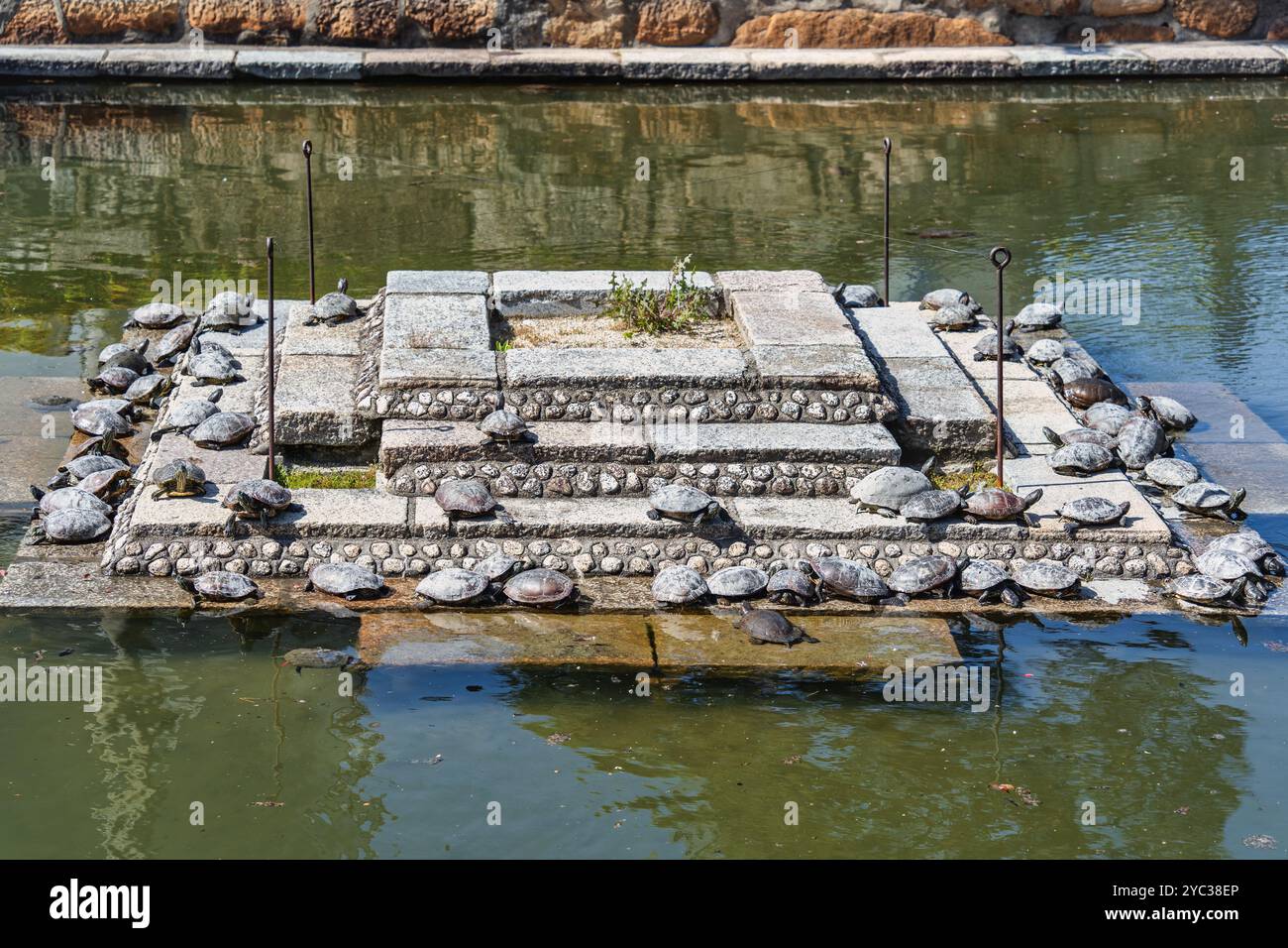Turtle Pond at Shitennoji Buddhist temple complex in Osaka, Japan Stock ...