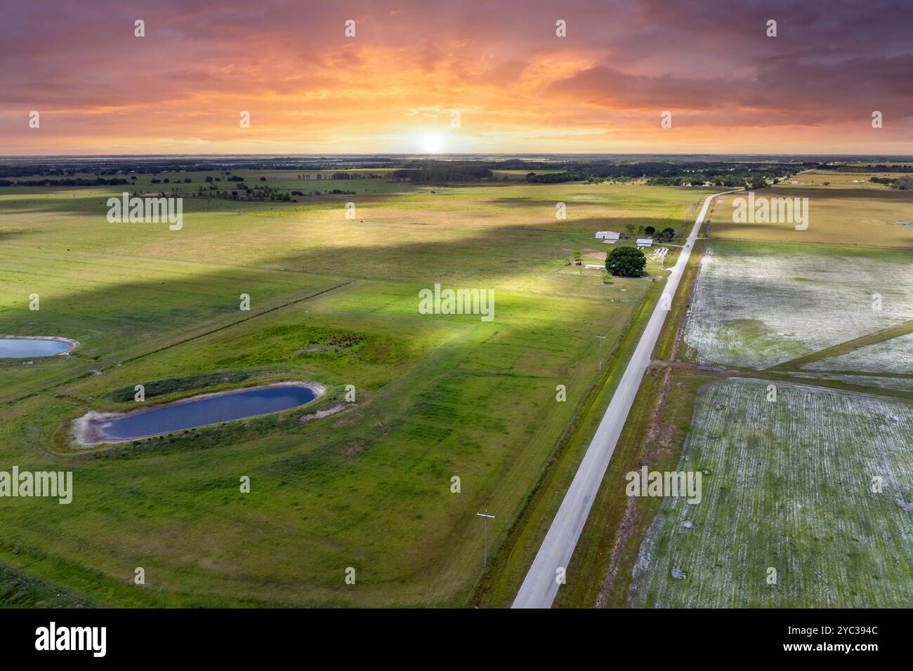 Aerial view of green farm fields in summer season with growing crops ...