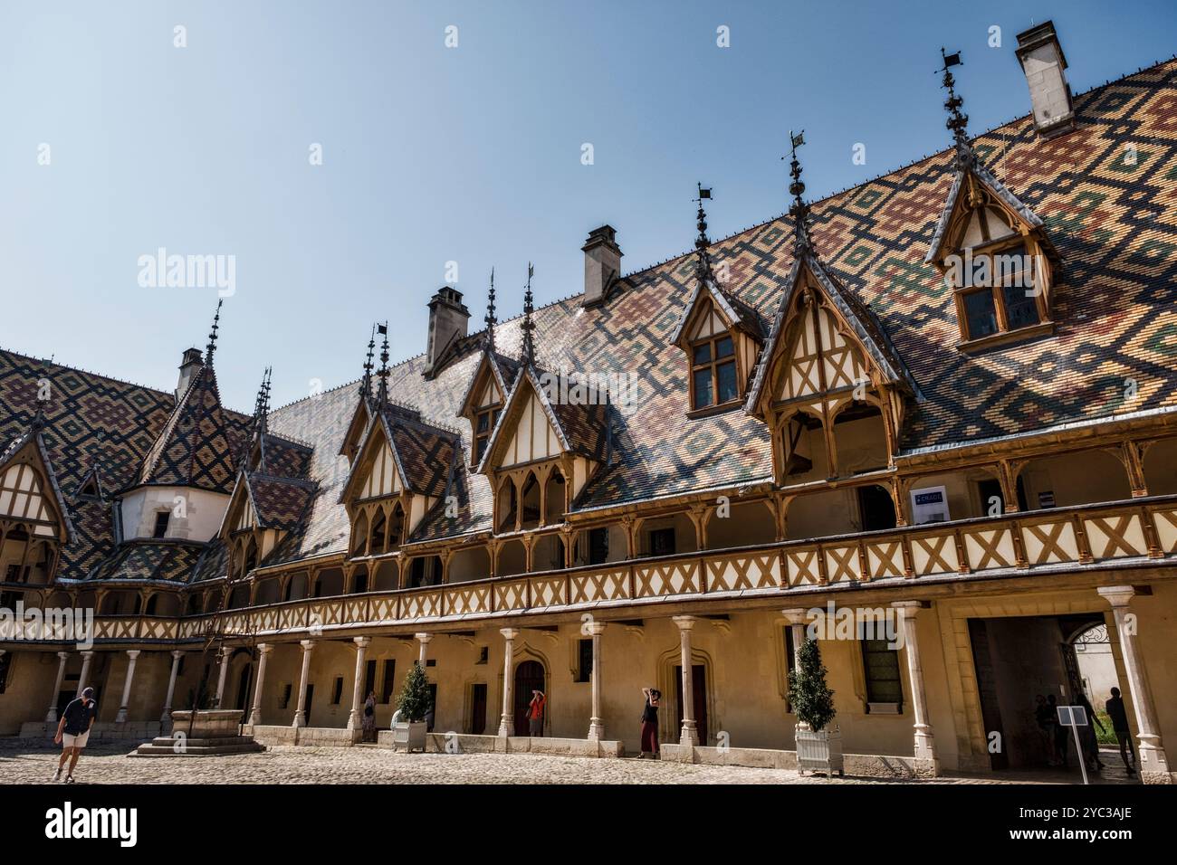 Chardonnay grapes beaune hi-res stock photography and images - Alamy