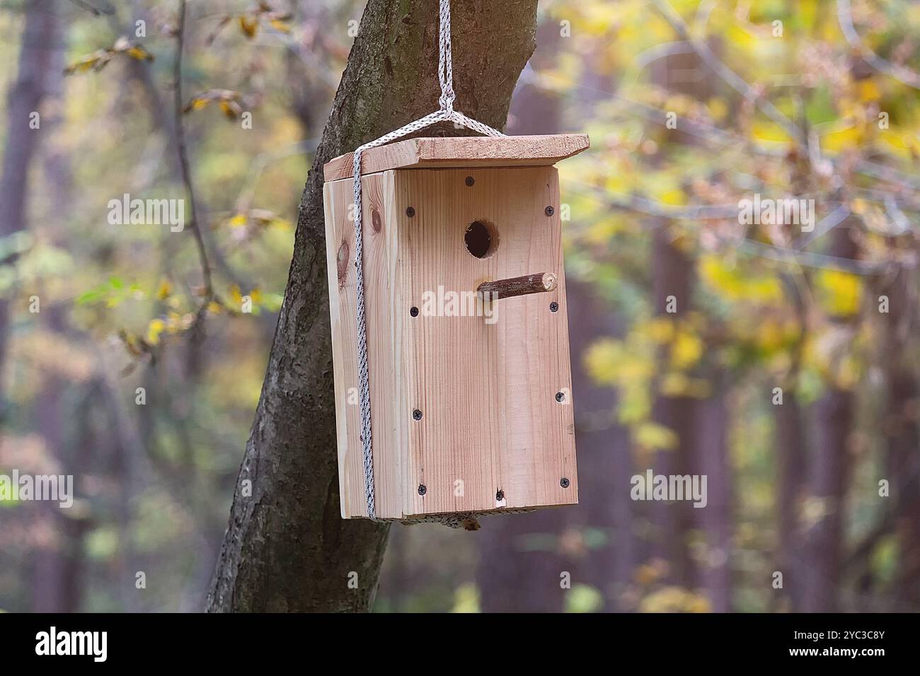 Wooden birdhouse hanging on a tree in a city park in autumn Stock Photo ...