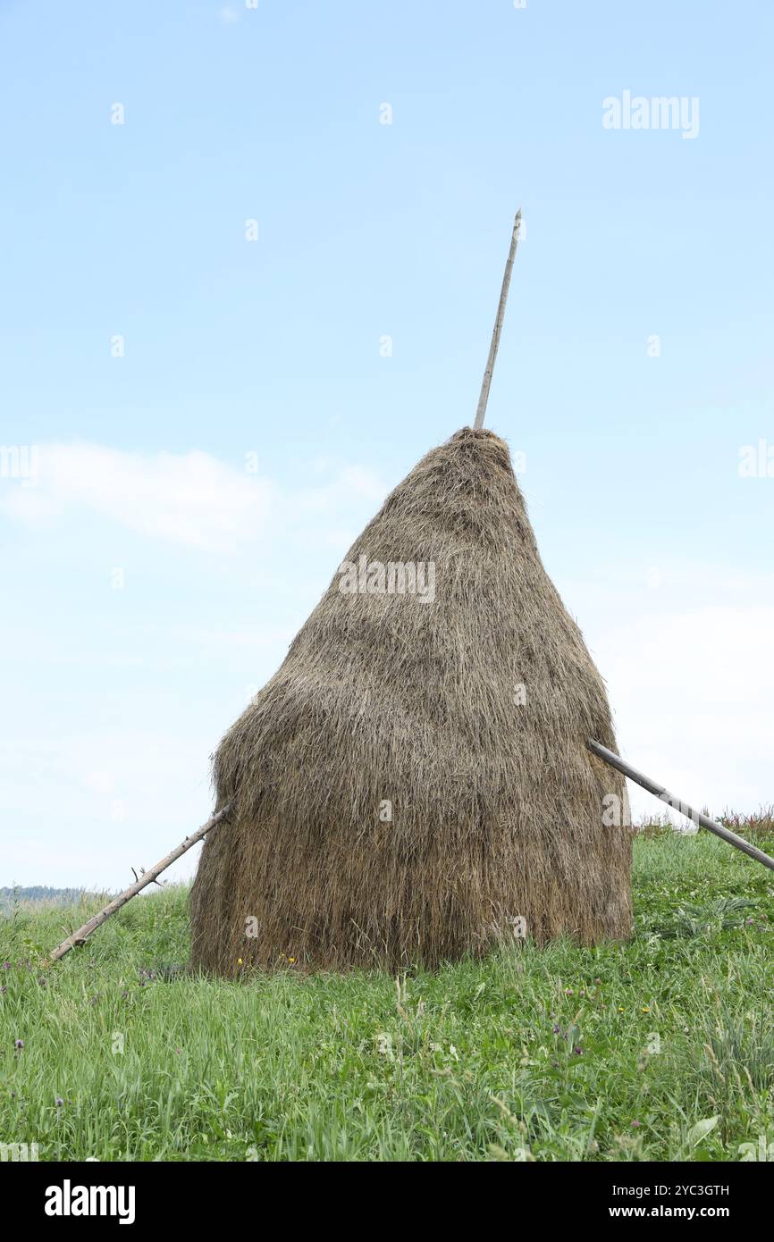 Bale hay pile dried hi-res stock photography and images - Alamy