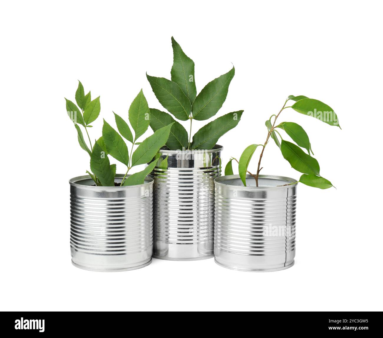 Recycling concept. Cans with plants isolated on white Stock Photo - Alamy