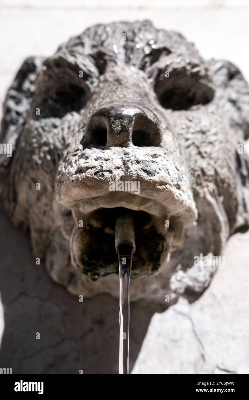 Fountain with the head of a wolf, emblem of the city of Rome, in the ...