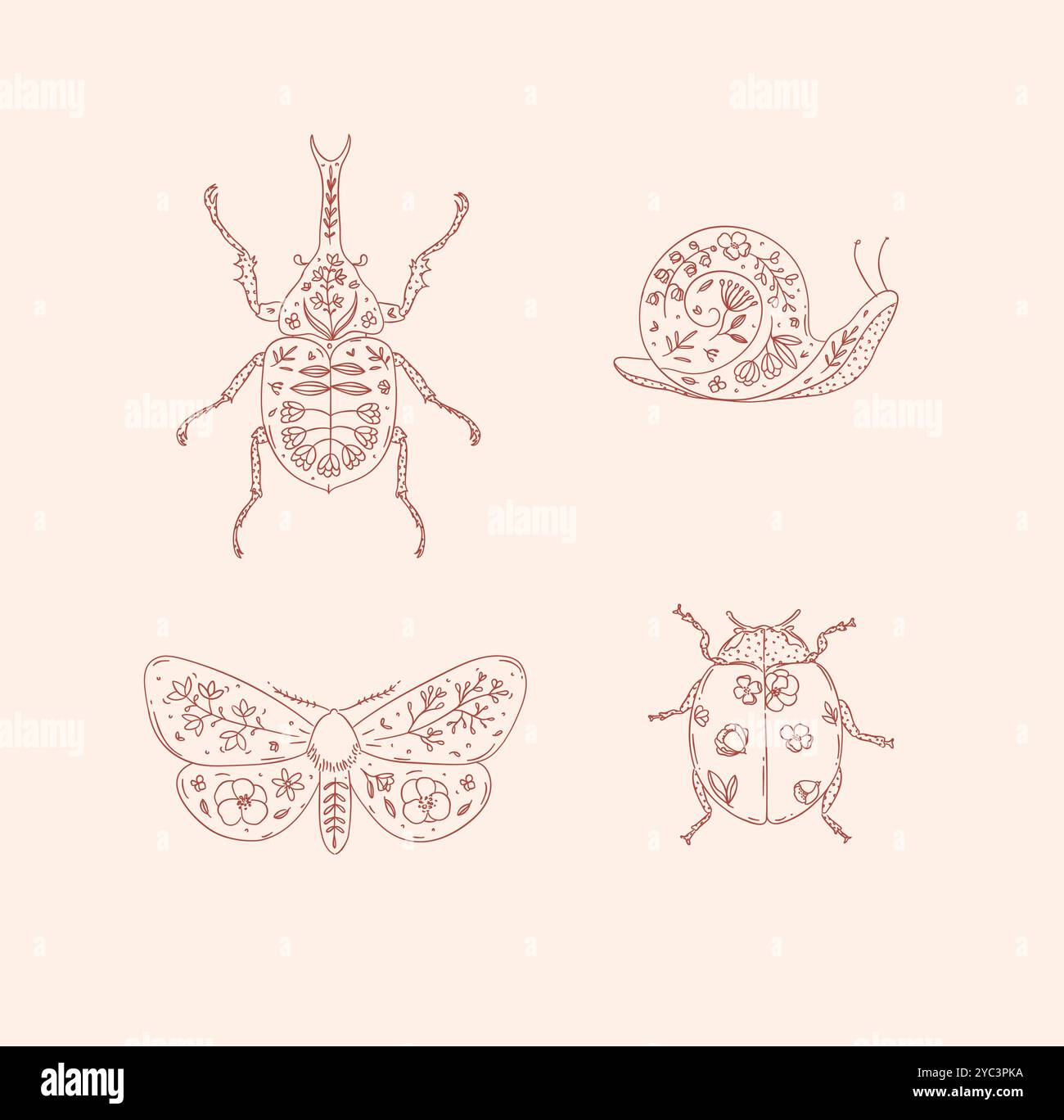 Beetles elements rhinoceros beetle, snail, moth, ladybug drawing in ...