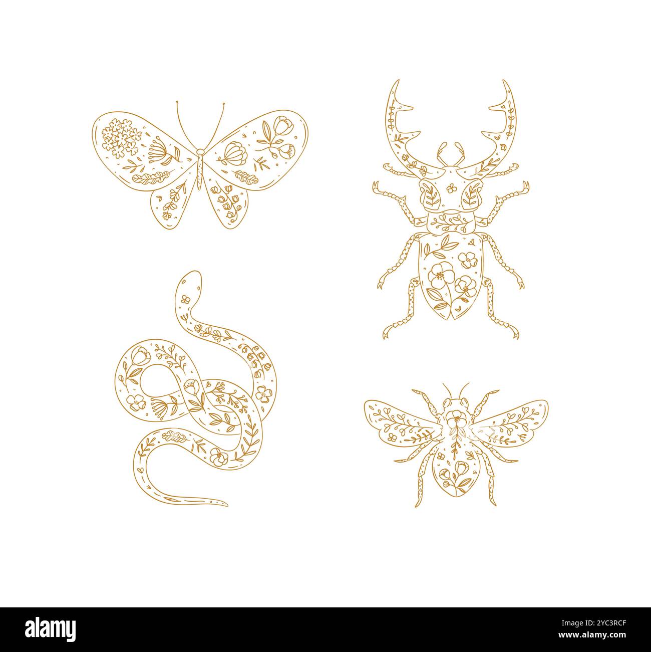 Beetles elements stag beetle, snake, moth, insect drawing in floral ...