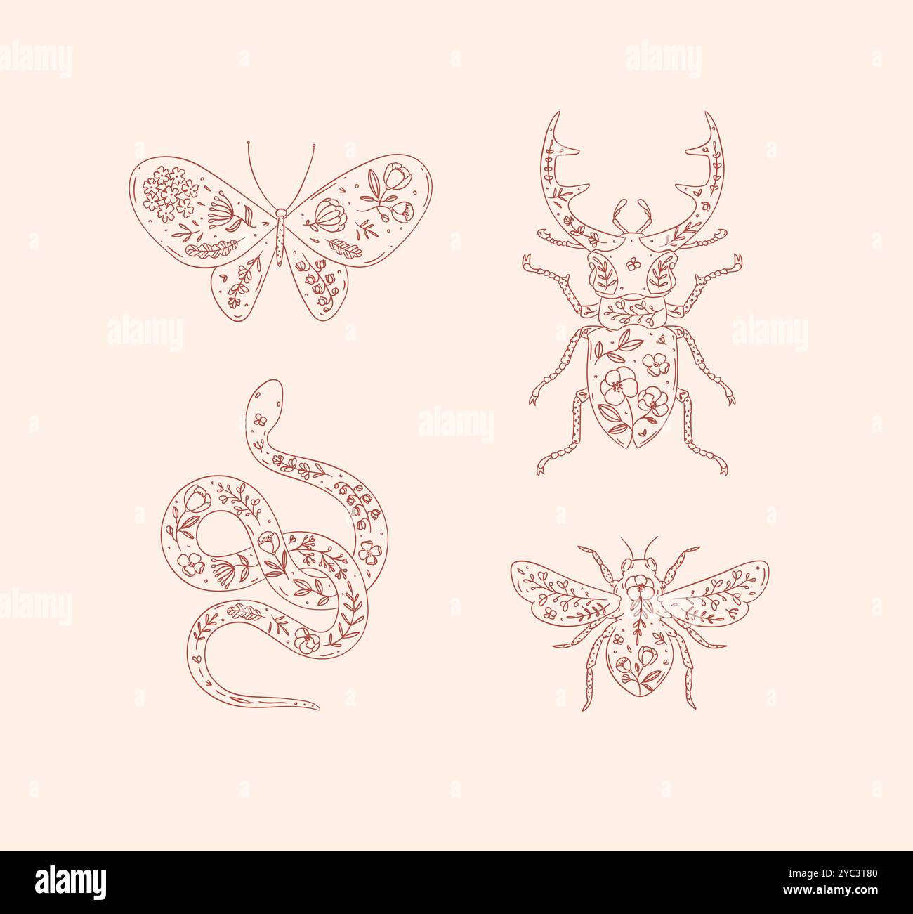 Beetles elements stag beetle, snake, moth, insect drawing in floral ...