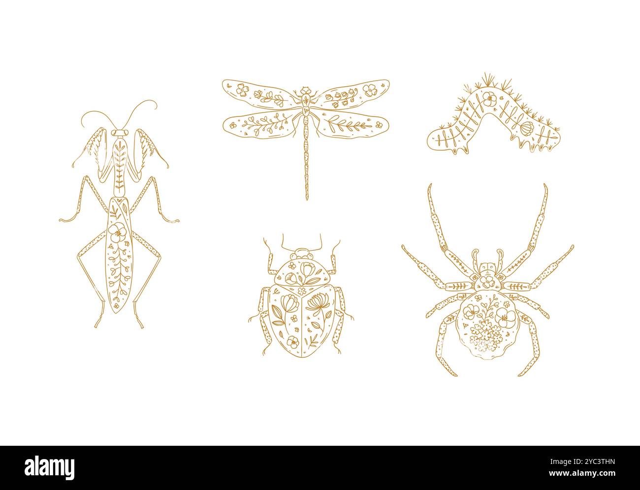 Beetles elements mantis, dragonfly, spider, caterpillar, insect drawing ...
