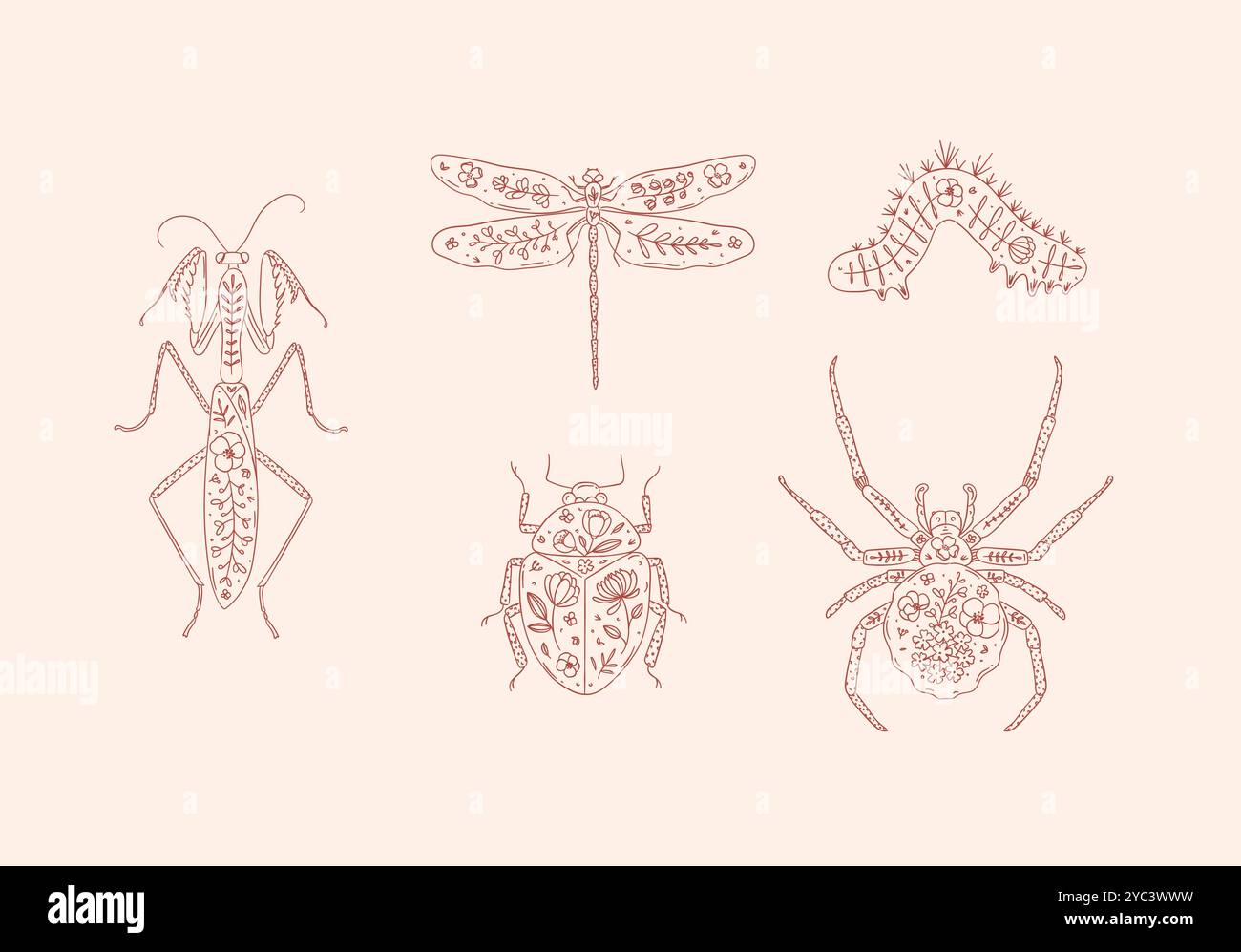 Beetles elements mantis, dragonfly, spider, caterpillar, insect drawing ...