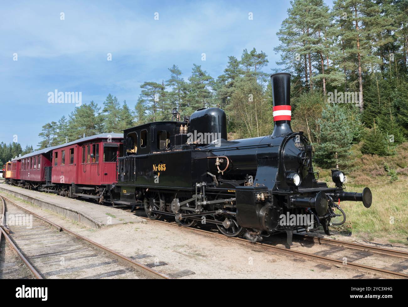 Vintage Steam Train on Scenic Forest Railway Track Stock Photo - Alamy