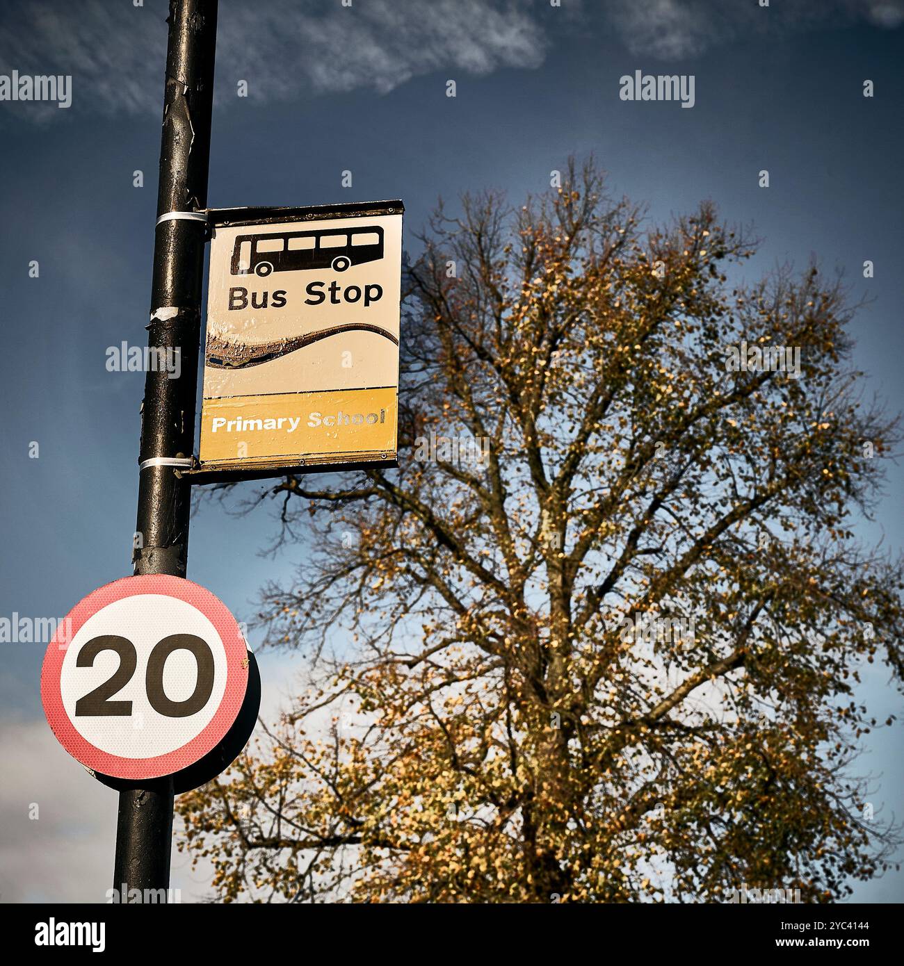 Stop sign buses hi-res stock photography and images - Alamy