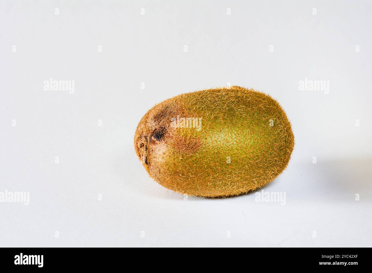 Single kiwi fruit isolated on white background with text space Stock ...
