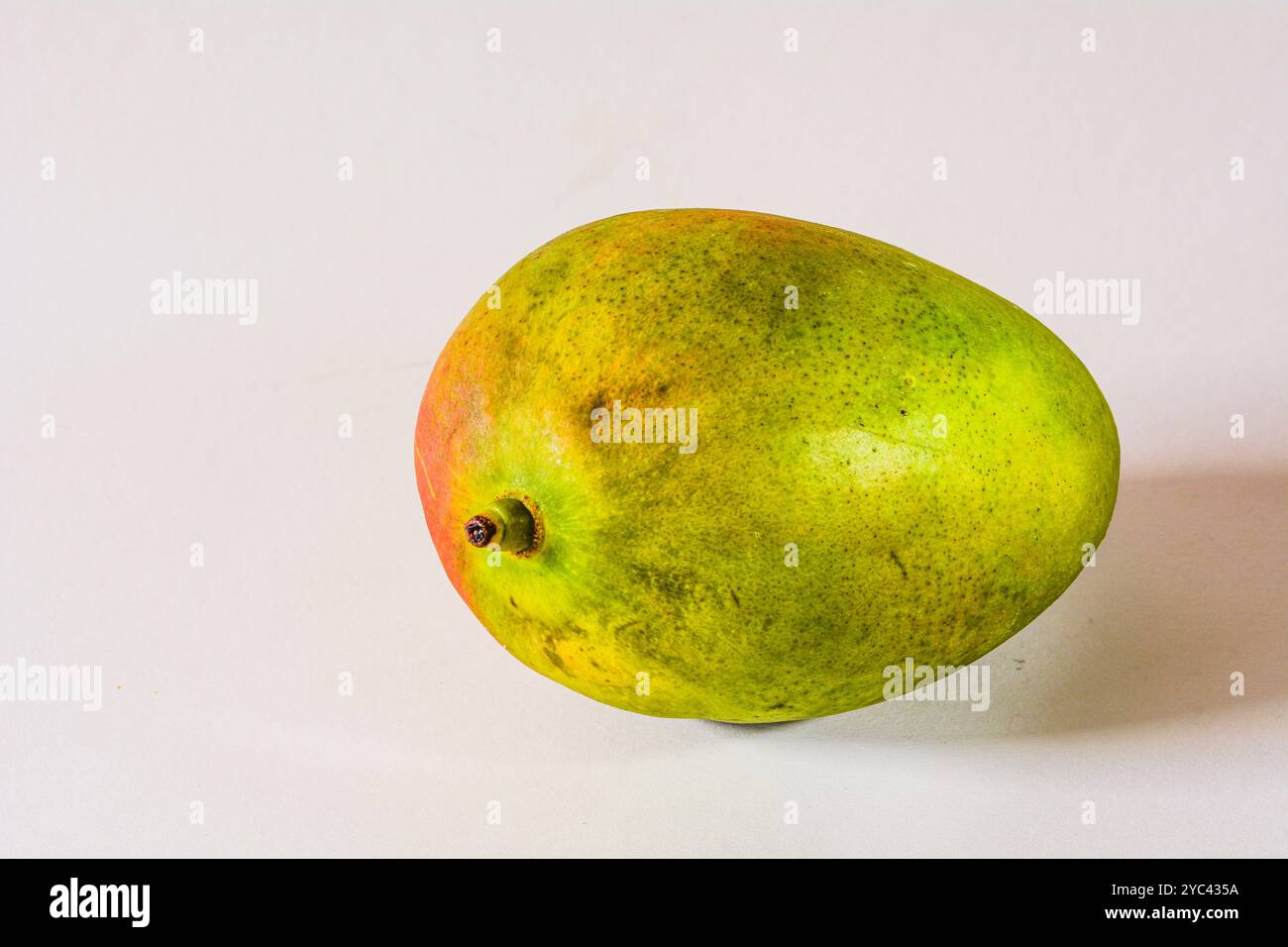 Ripe single mango fruit in studio isolated with text space Stock Photo ...