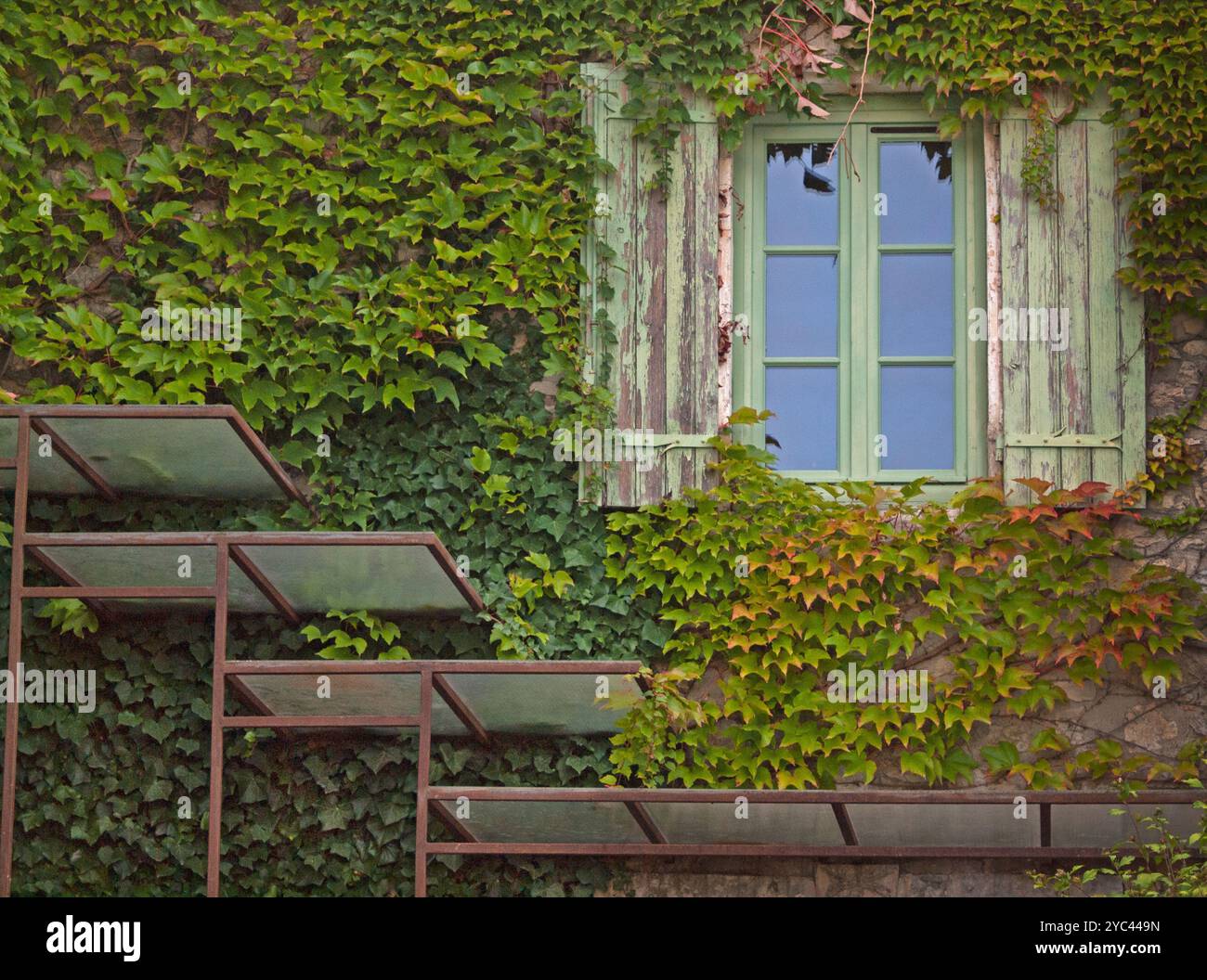 An ivy clad building in southern France Stock Photo - Alamy