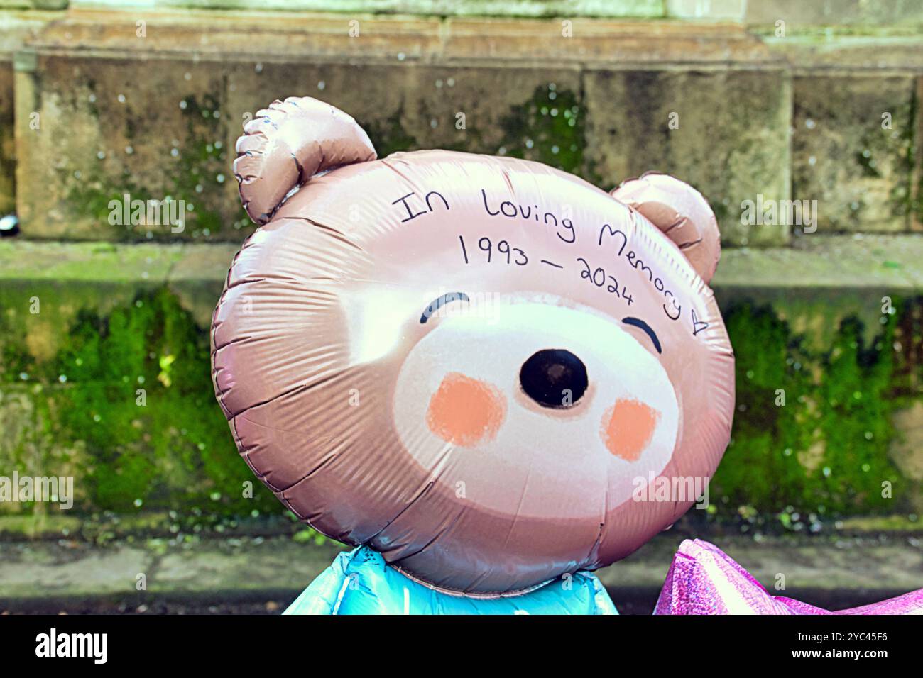 Liam Payne Cartoon 2024