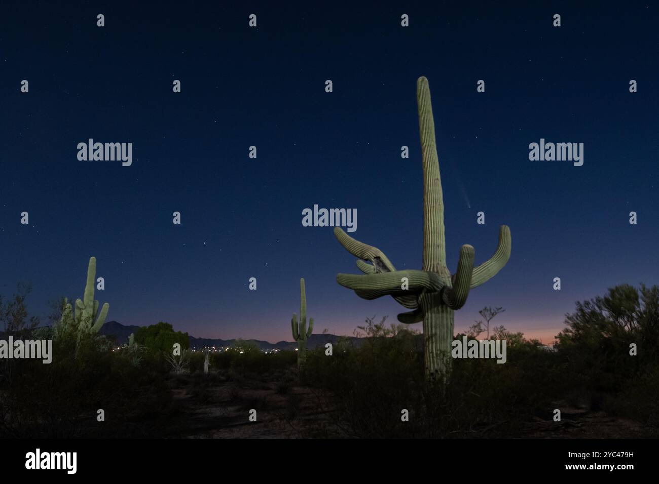 Comet C/2023 A3 (Tsuchinshan-ATLAS) over the Arizona desert Stock Photo ...