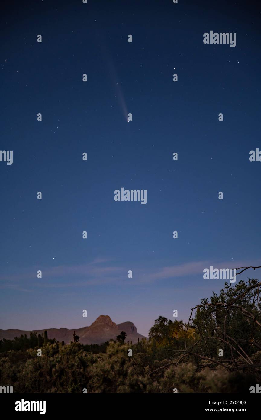 Comet C/2023 A3 (Tsuchinshan-ATLAS) over the Arizona desert Stock Photo ...