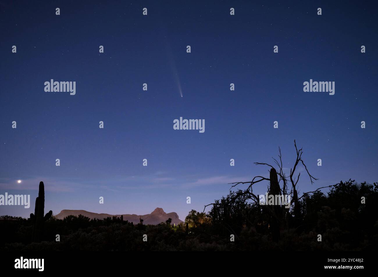 Comet C/2023 A3 (Tsuchinshan-ATLAS) over the Arizona desert Stock Photo ...