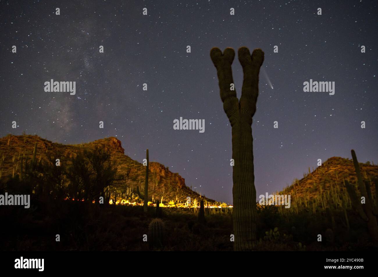 Tsuchinshan comet hi-res stock photography and images - Alamy