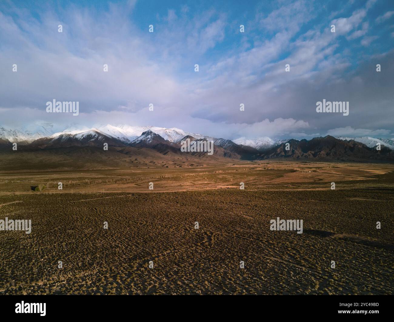 Desert steppe by the Andes mountains near Uspallata, Argentina. Aerial ...