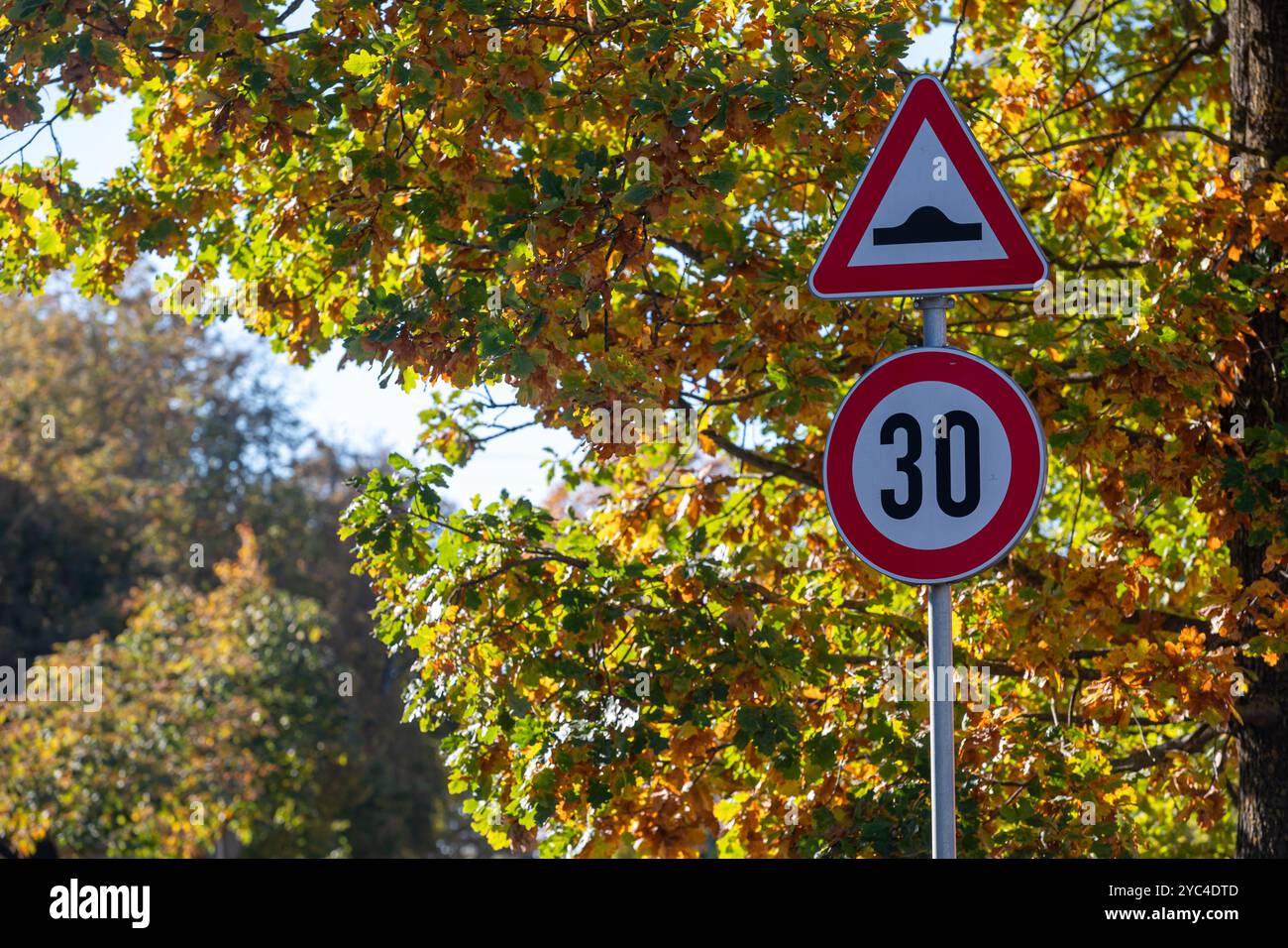Road signs indicate bumps ahead and a speed limit of 30 near vibrant ...