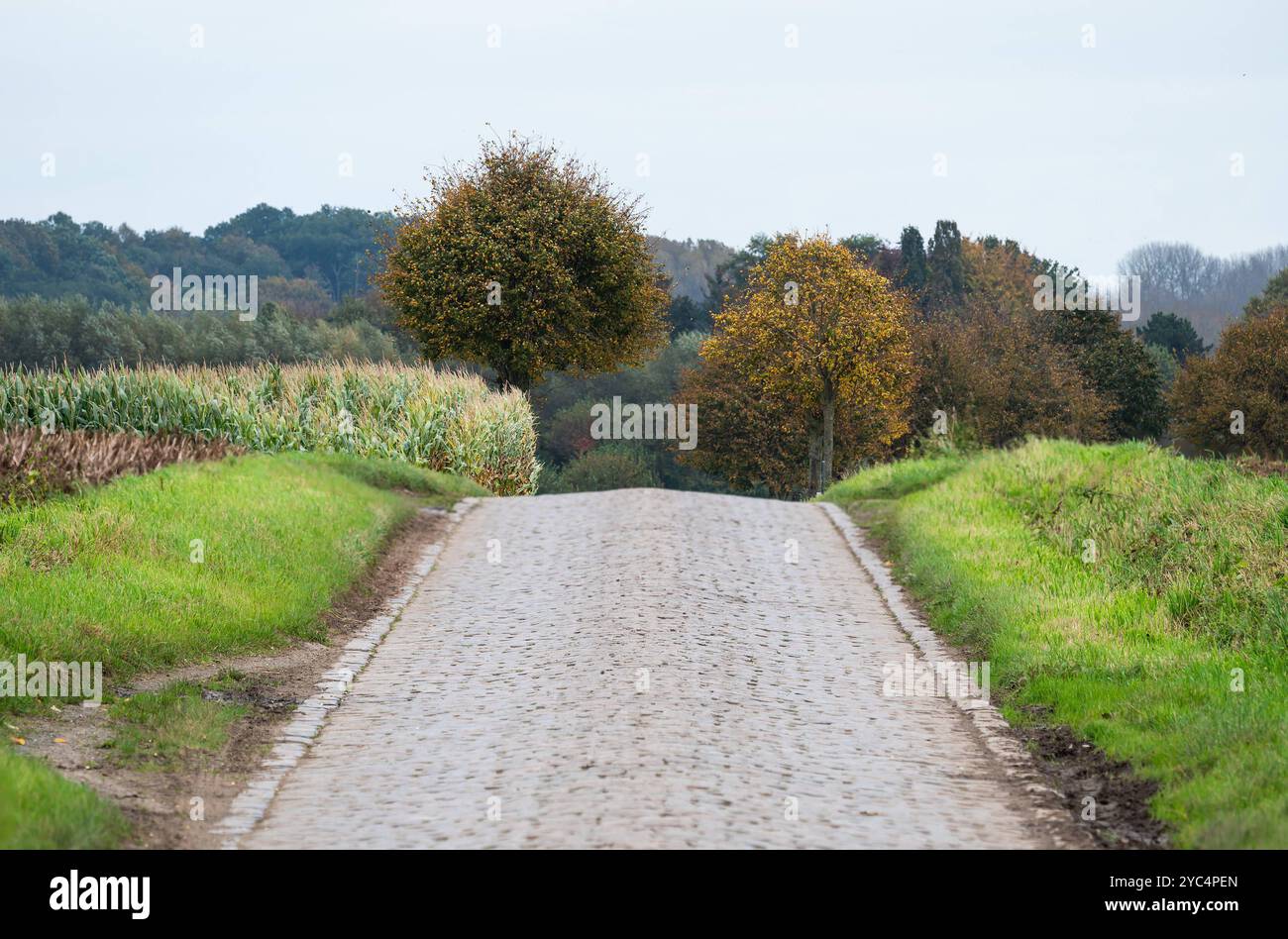 Cobble stone country road through the fields in Kobbegem, Asse, Belgium ...