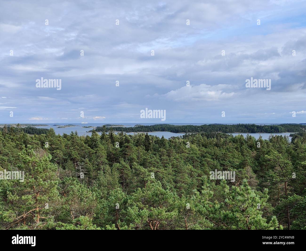 Panorama of the Gulf of Finland and the Islands. Northern nature ...