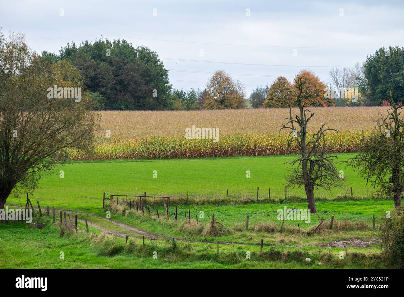 Agriculture fields and green hills at the Flemish countryside in ...
