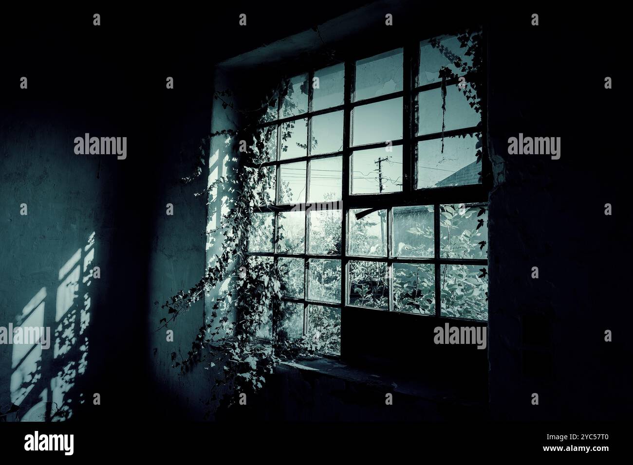 abandoned building window with sun rays and ivy Stock Photo - Alamy