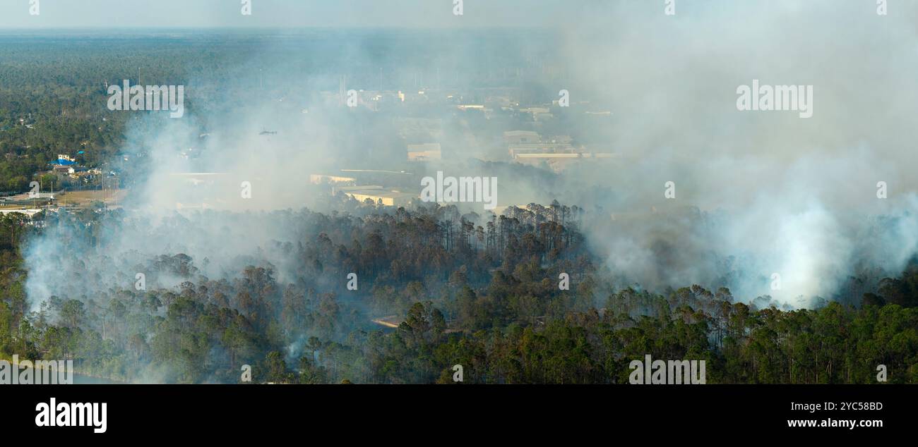 Dangerous wildfire burning severely in Florida jungle woods. Hot flames ...