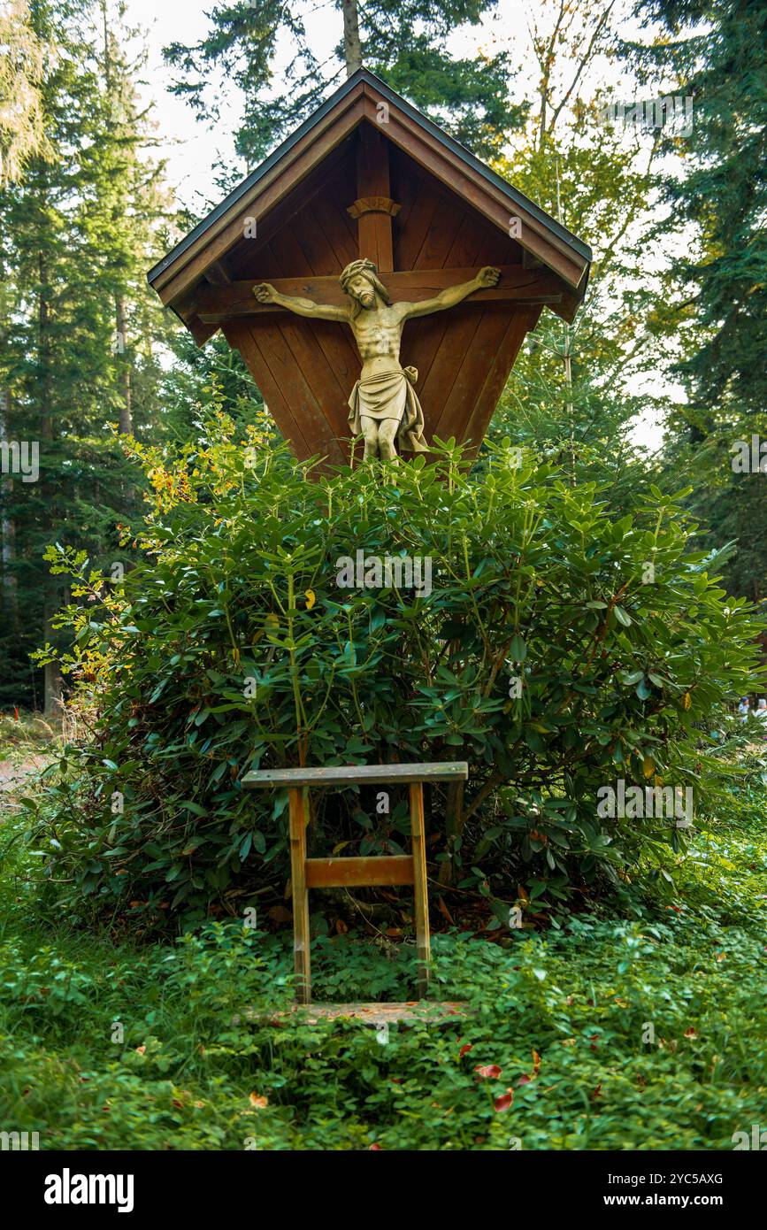 Crucifix standing in a forest with a kneeler in front inviting people ...