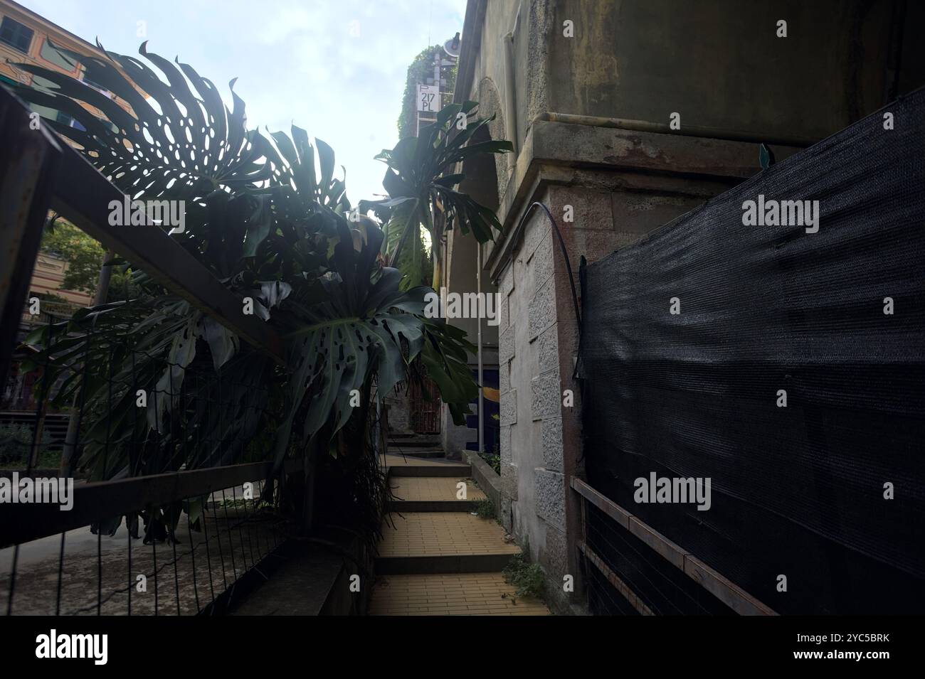 Narrow passageway made with stairs in the shade bordered by pillars of ...