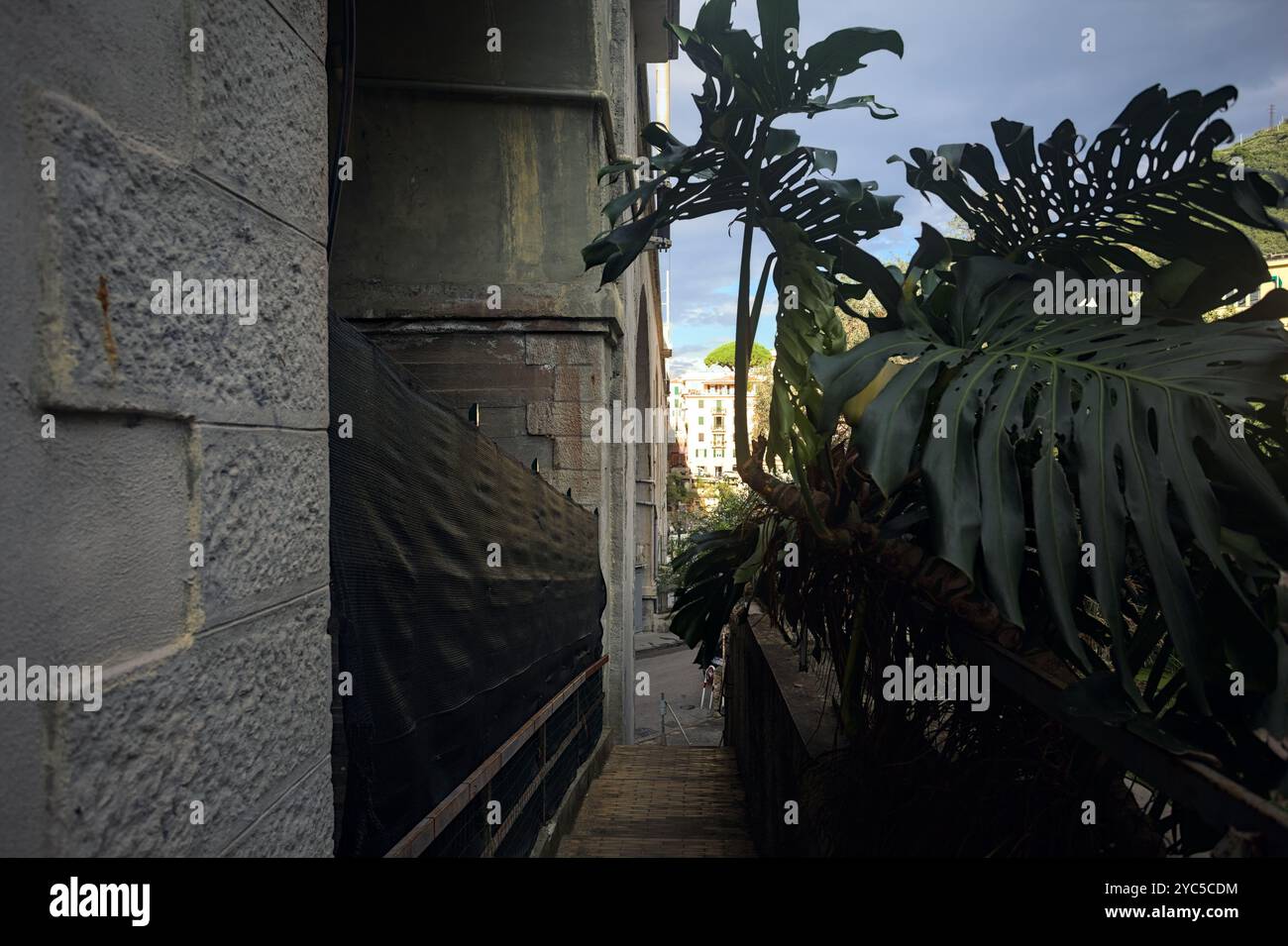 Narrow passageway made with stairs in the shade bordered by pillars of ...