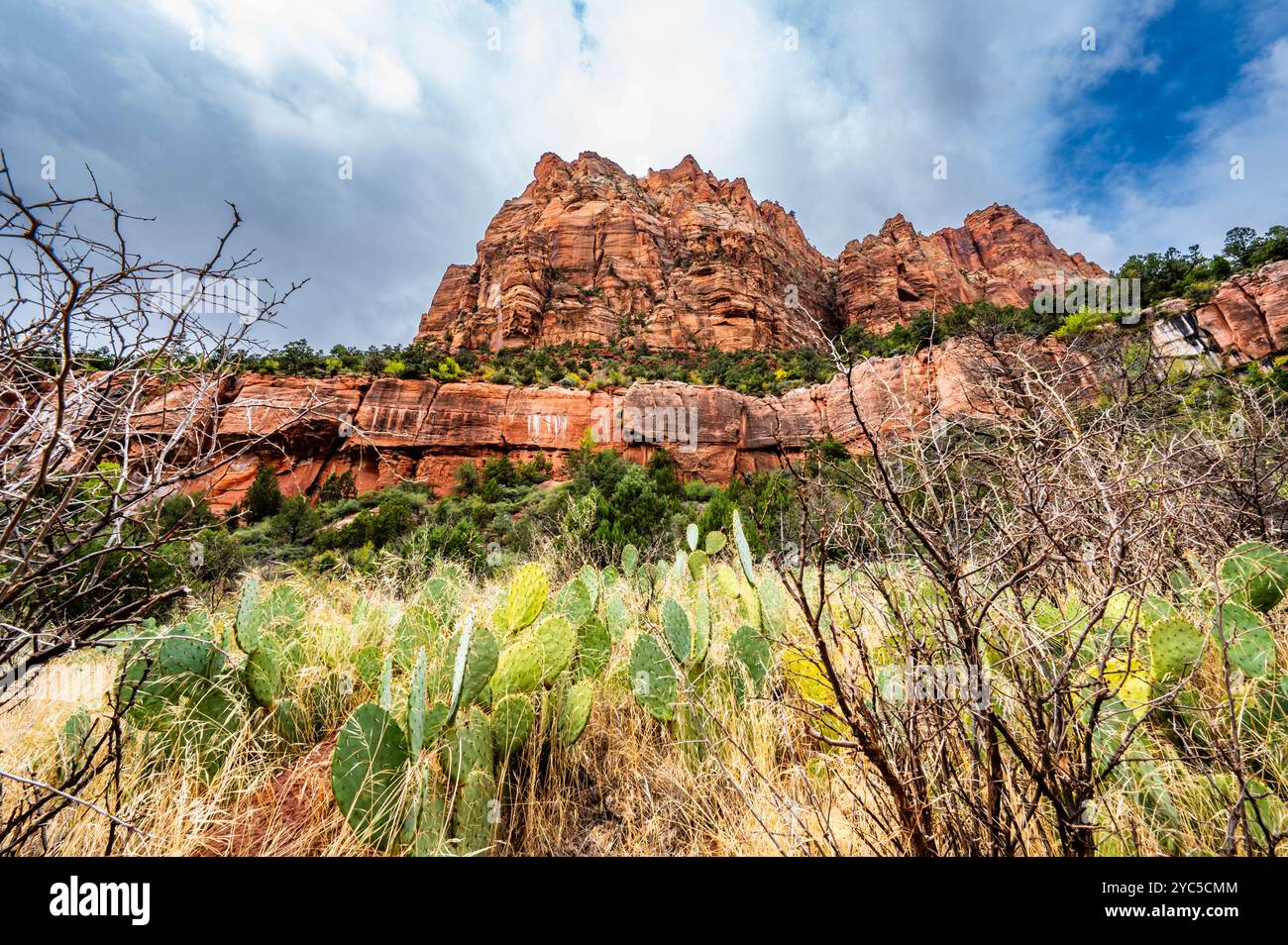 Zion National Park Emerald Pool hike in fall of 2024 Stock Photo - Alamy